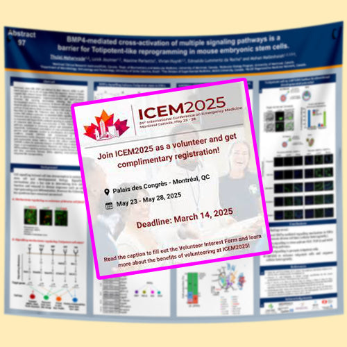 ICEM 2025 Annual Conference Research Fabric / Paper Poster – posterandsign