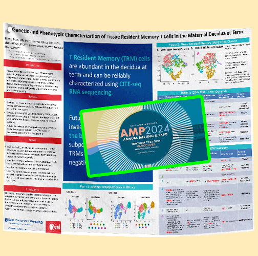AMP 2024 Research Paper/Fabric Poster onsite pickup at VCC $60/70 – posterandsign