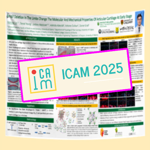ITE Canada 2025 Conference Research Poster - Paper/Fabric 36x48 ...
